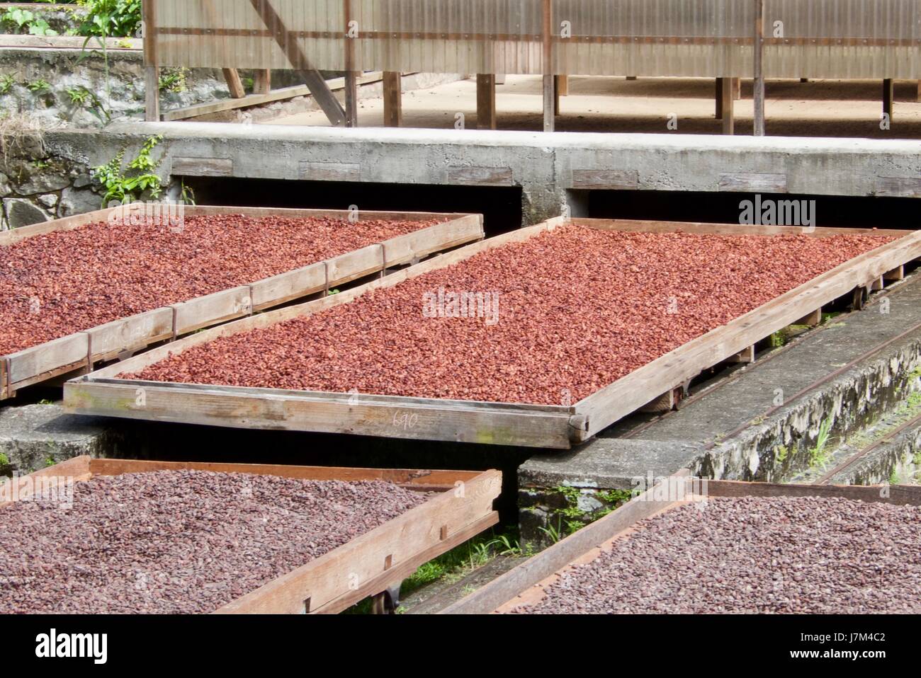 Grenada Cocoa drying building Stock Photo - Alamy