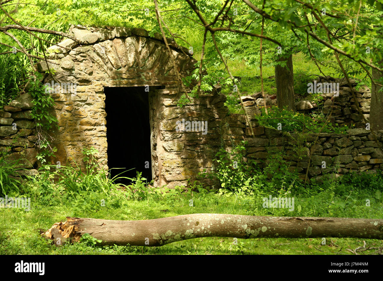 tree entrance door outdoor outside style of construction architecture ...