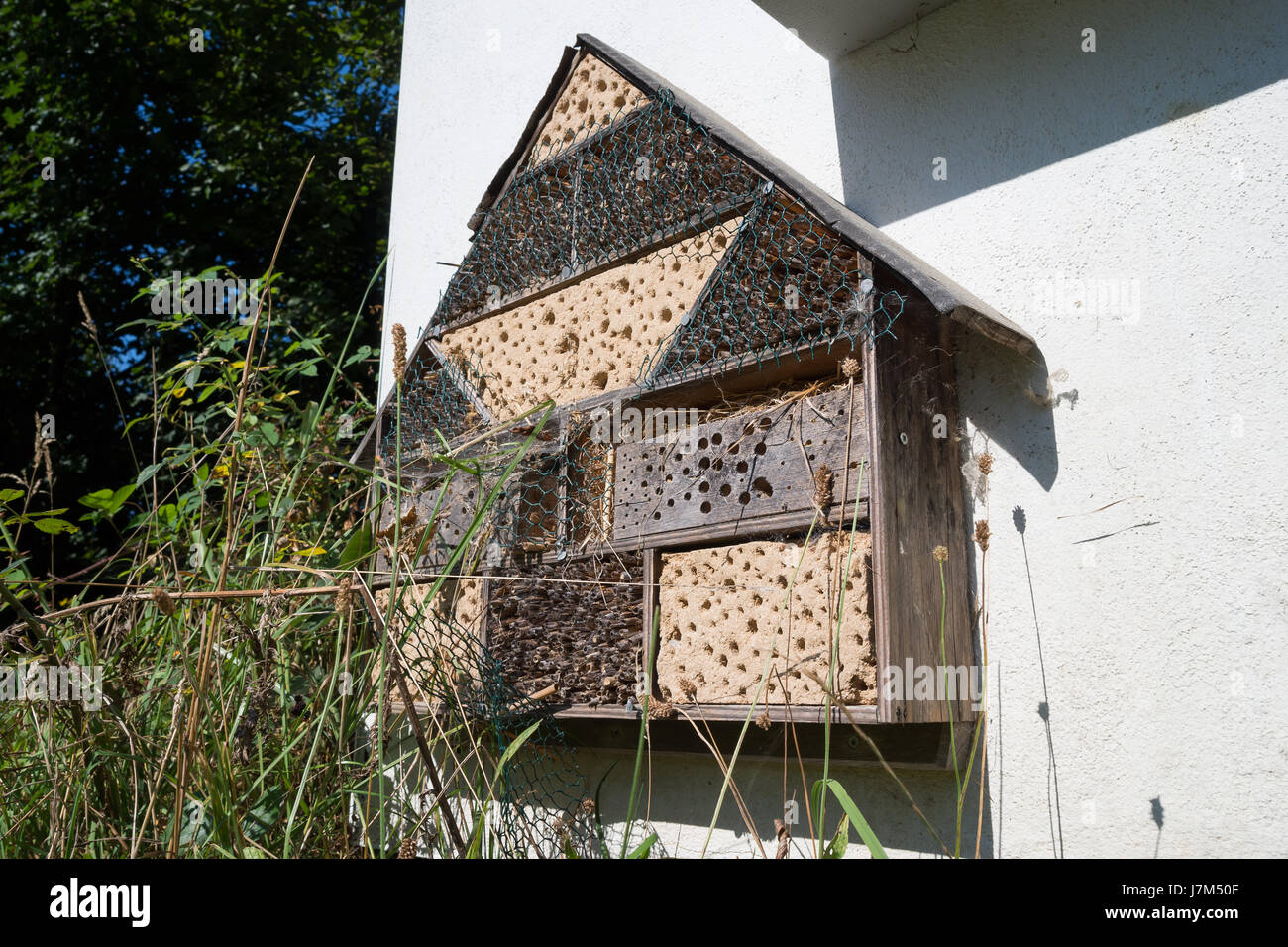 insect hotel at exterior wall Stock Photo - Alamy