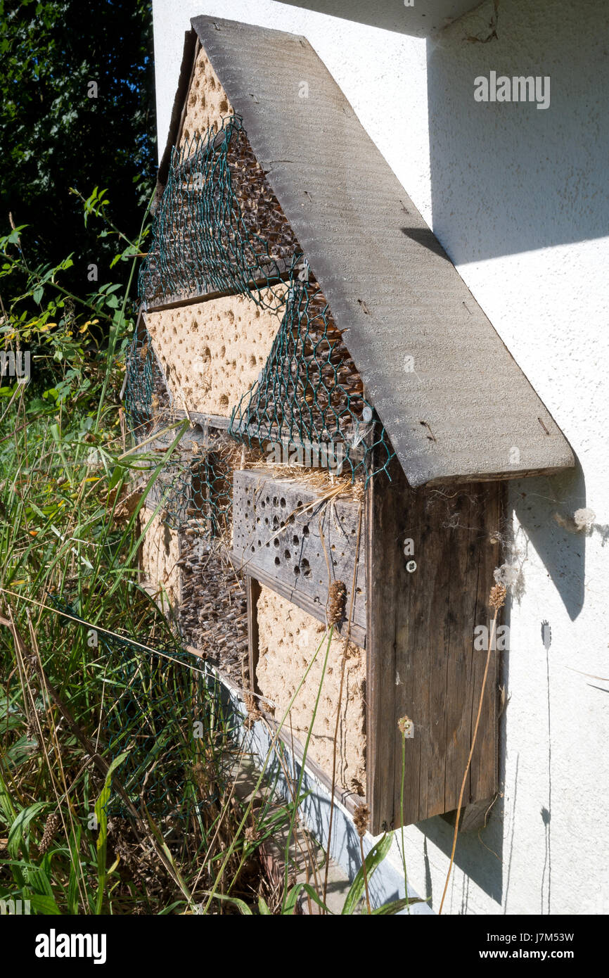 insect hotel at exterior wall Stock Photo - Alamy