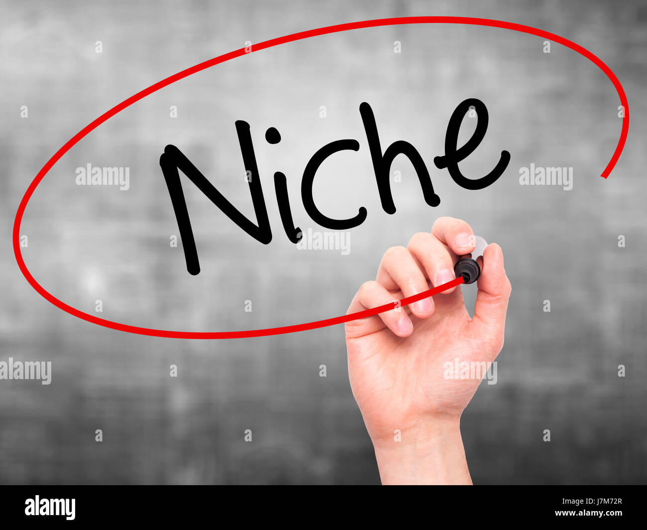 Man Hand writing Niche with black marker on visual screen. Isolated on ...