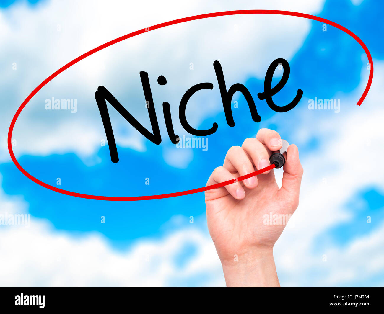 Man Hand writing Niche with black marker on visual screen. Isolated on ...