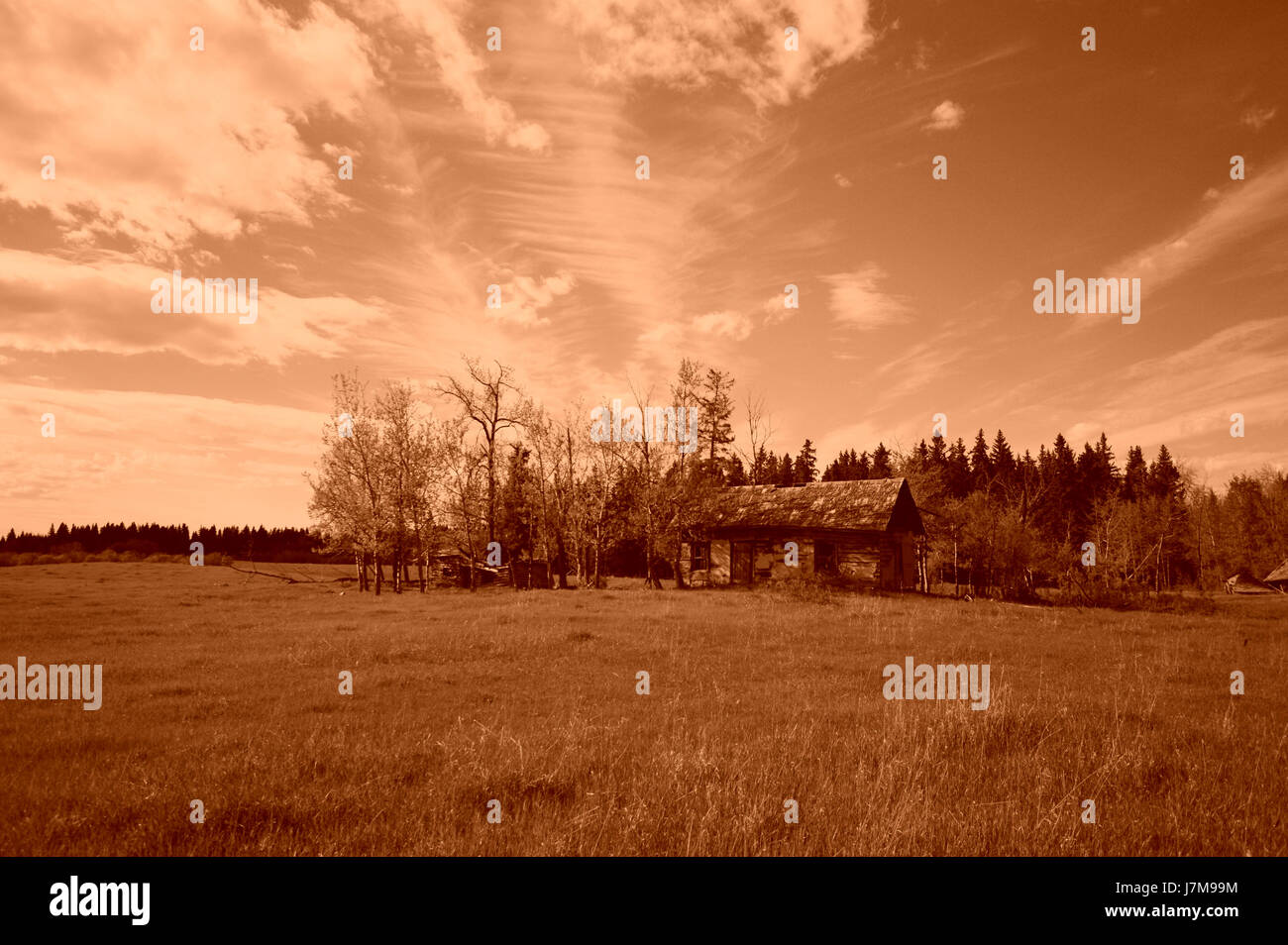 Abandoned farm houses and barns on the Canadian prairie Stock Photo - Alamy