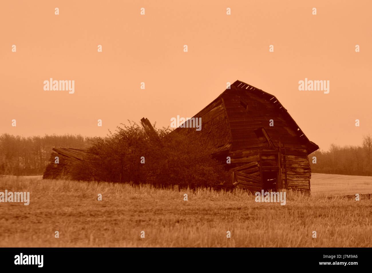 Abandoned farm houses and barns on the Canadian prairie Stock Photo - Alamy