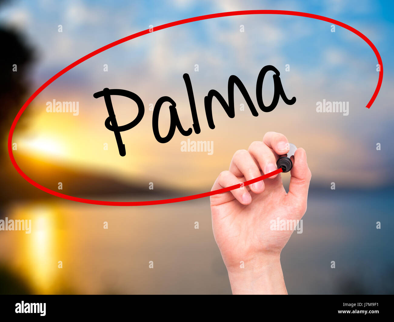 Man Hand writing Palma with black marker on visual screen. Isolated on ...
