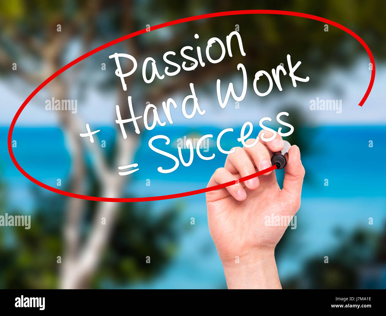 Business man concept success hard motivate hi-res stock photography and ...