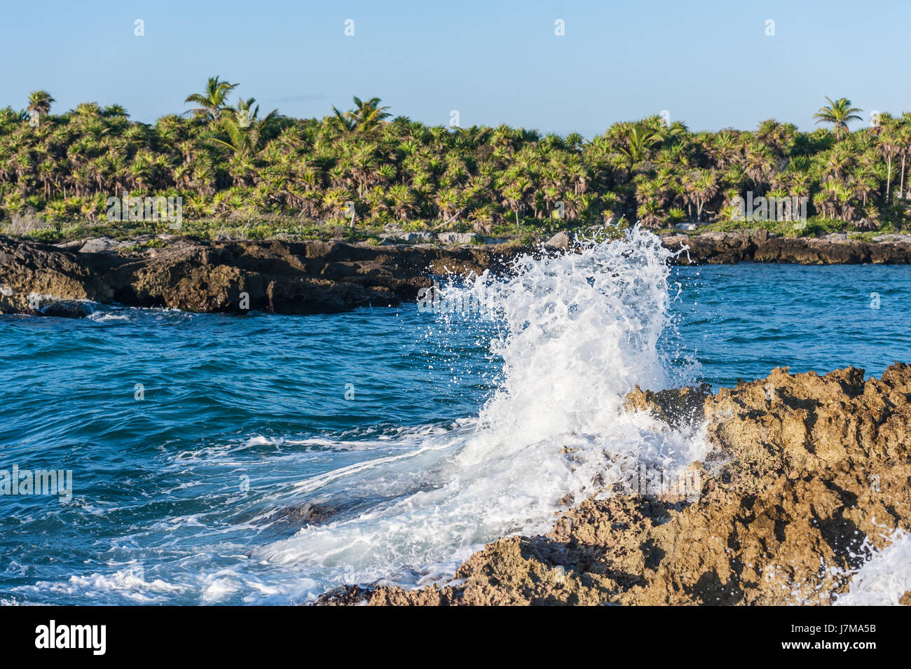 Caribbean sea waves crashing onto the iron shore of tropical costline ...