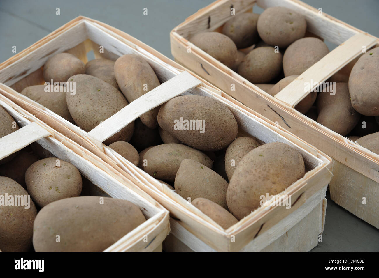 vegetable cultivation basic foods germ seed potatoe nutrition potato ...