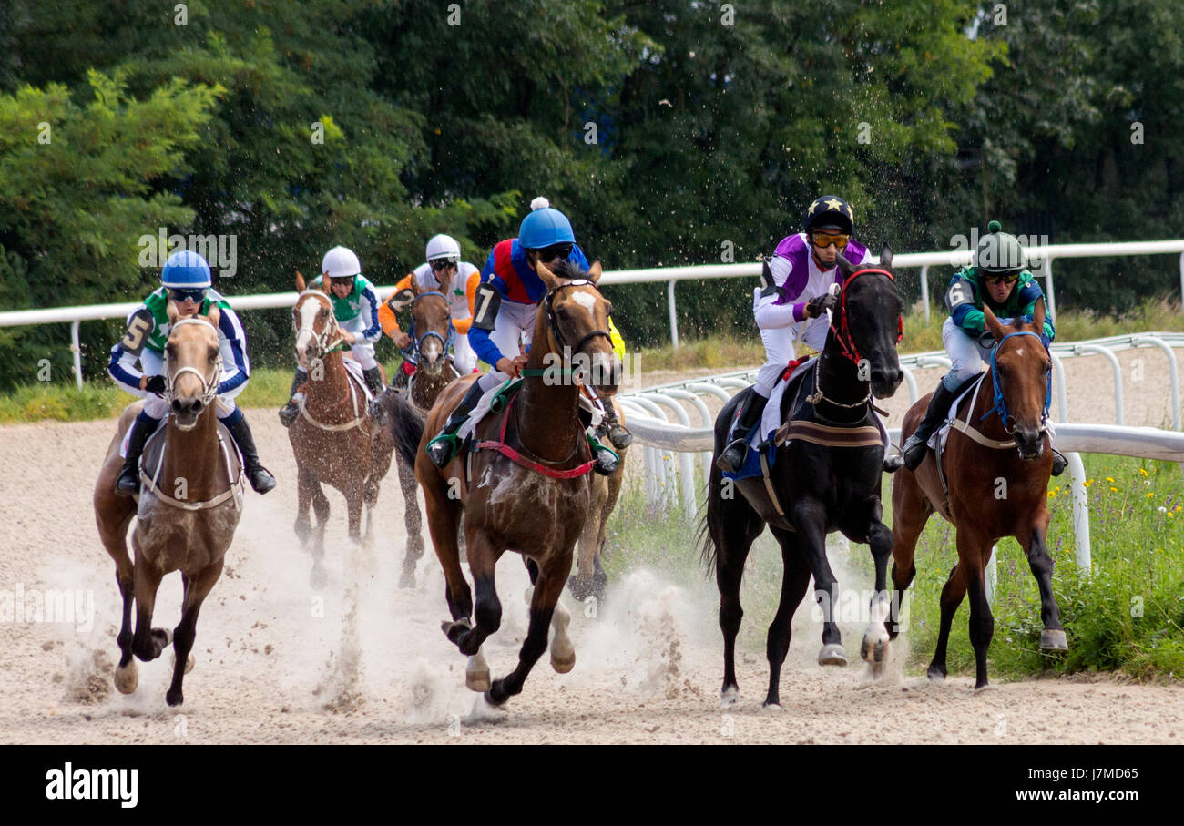 Racing group head to the finish hi-res stock photography and images - Alamy