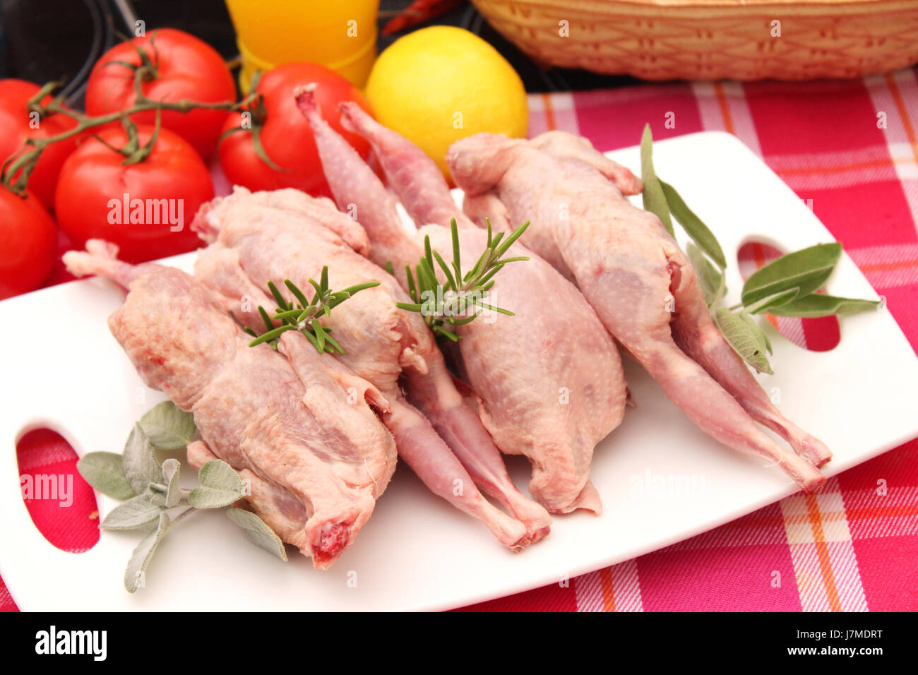 poultry pullet quail quails fresh meat poultry pullet quail quails ...