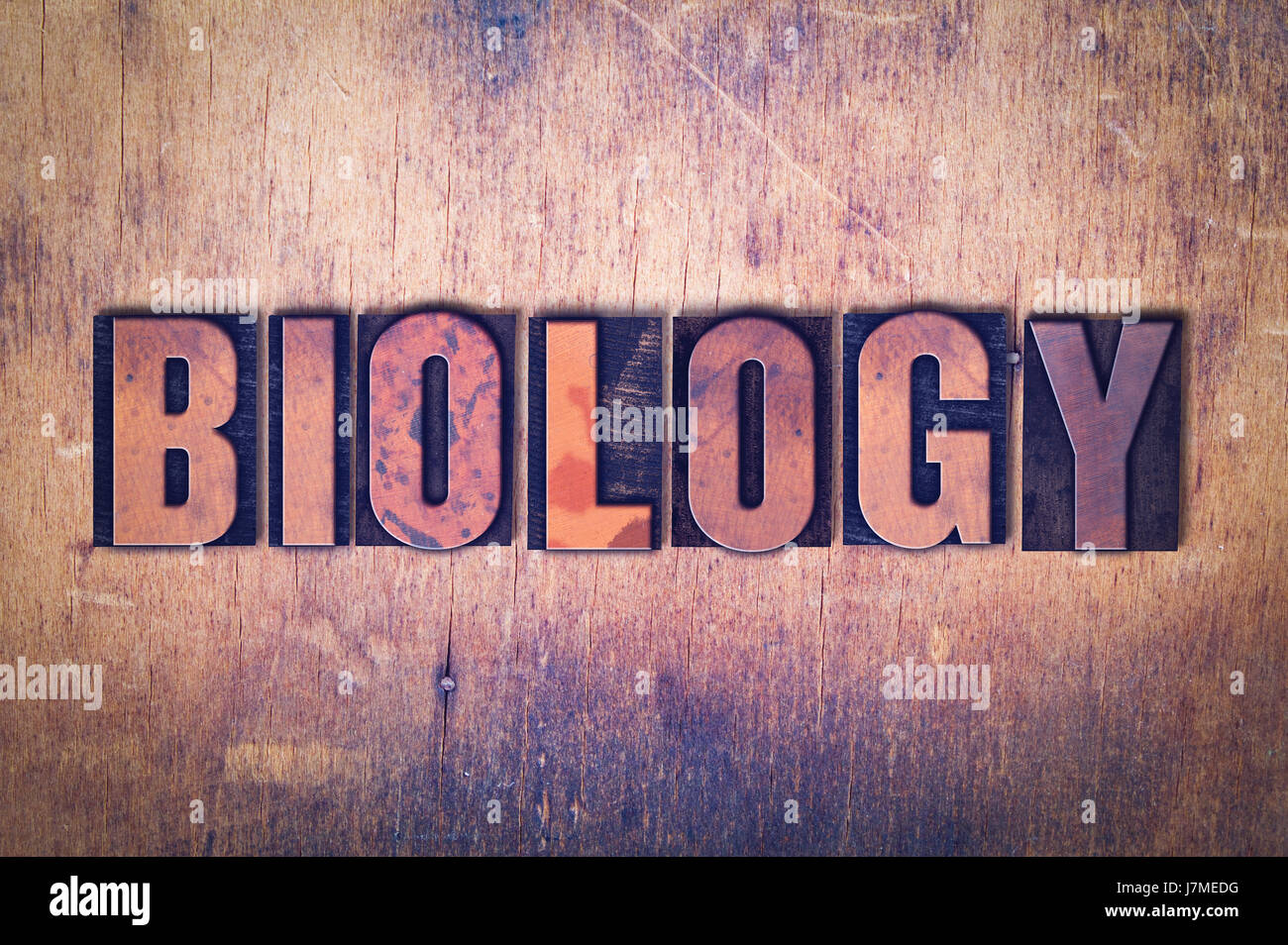 The word Biology concept and theme written in vintage wooden ...