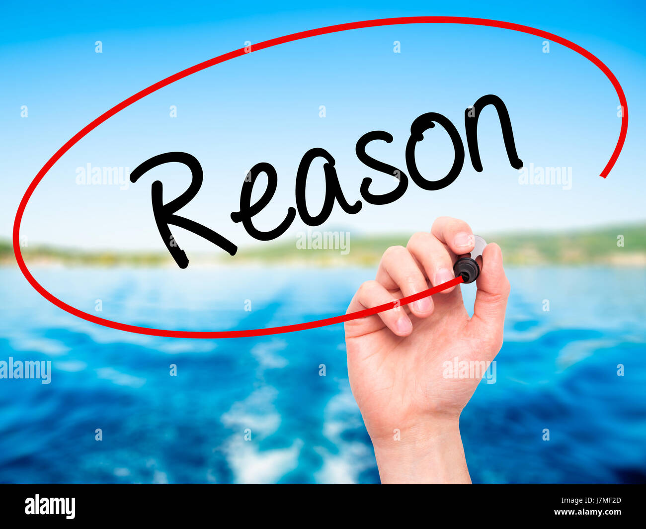 Man Hand writing Reason with black marker on visual screen. Isolated on ...