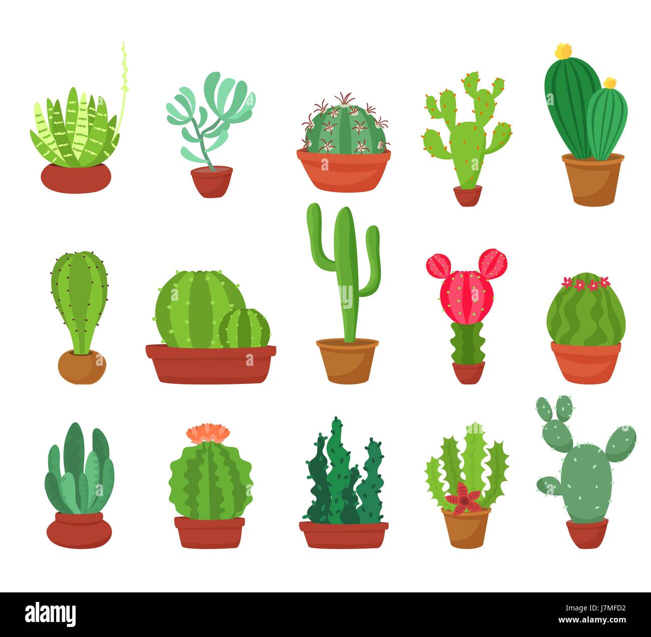 Cactus flat style. Vector illustration Stock Vector Image & Art - Alamy