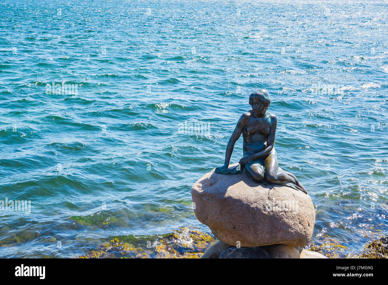 Little mermaid landmark copenhagen denmark hi-res stock photography and ...