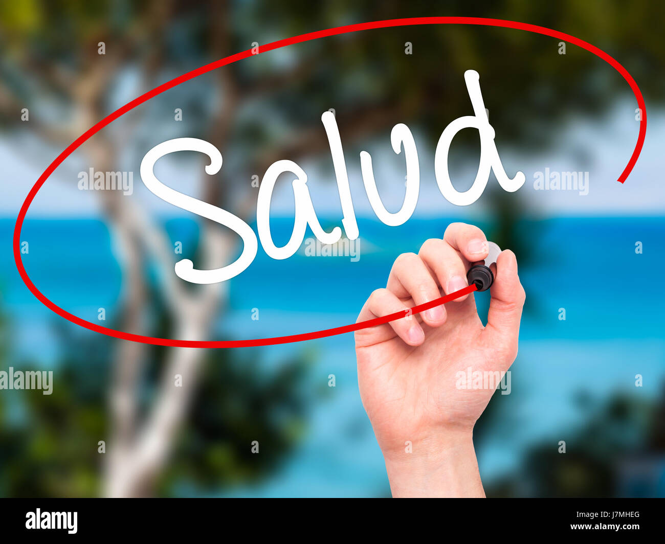Man Hand writing Salud (Health in Spanish) with black marker on visual ...