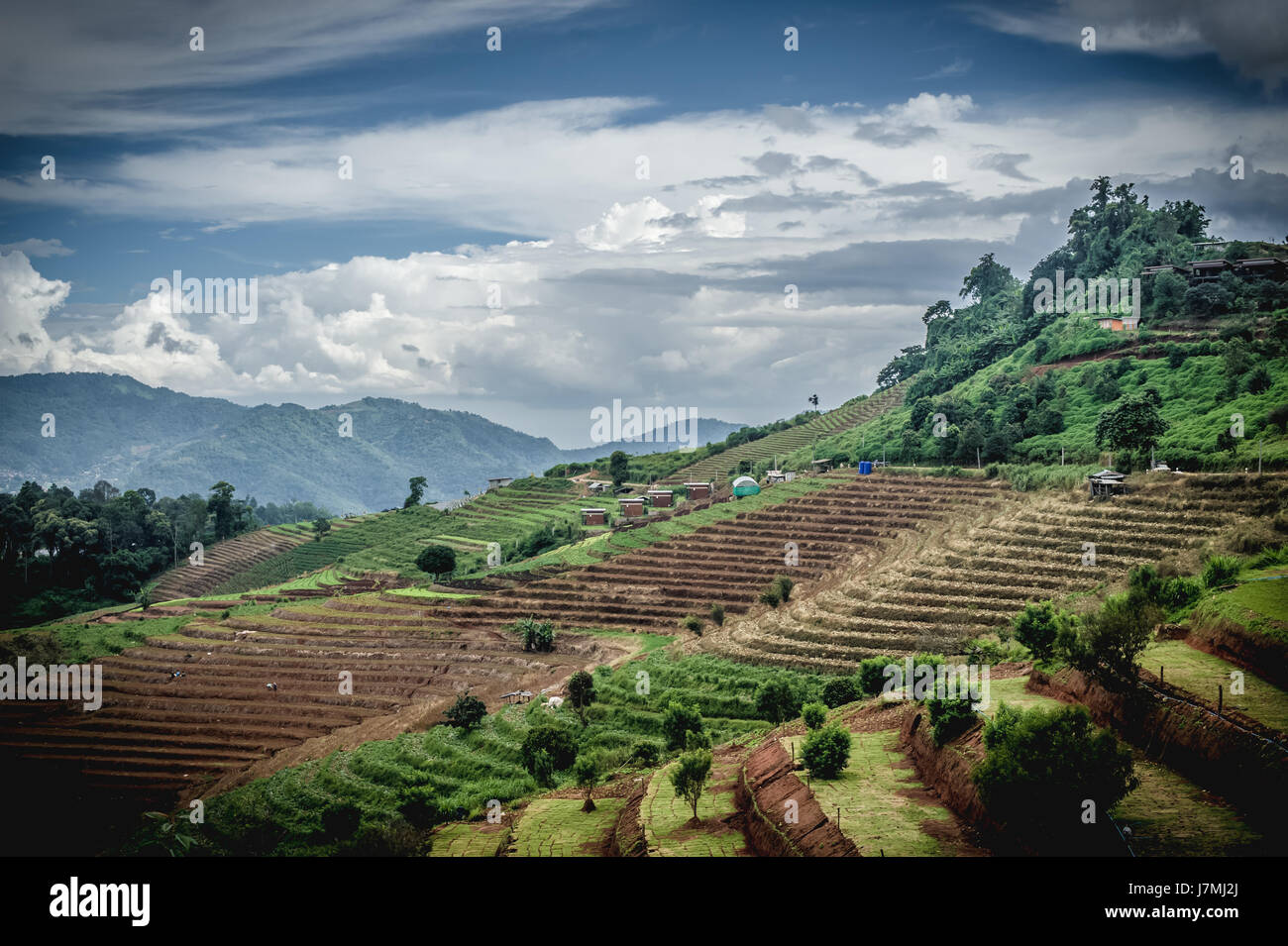 Beautiful natural in Mon Cham (Mon Jam) mountain, Mae Rim, famous ...