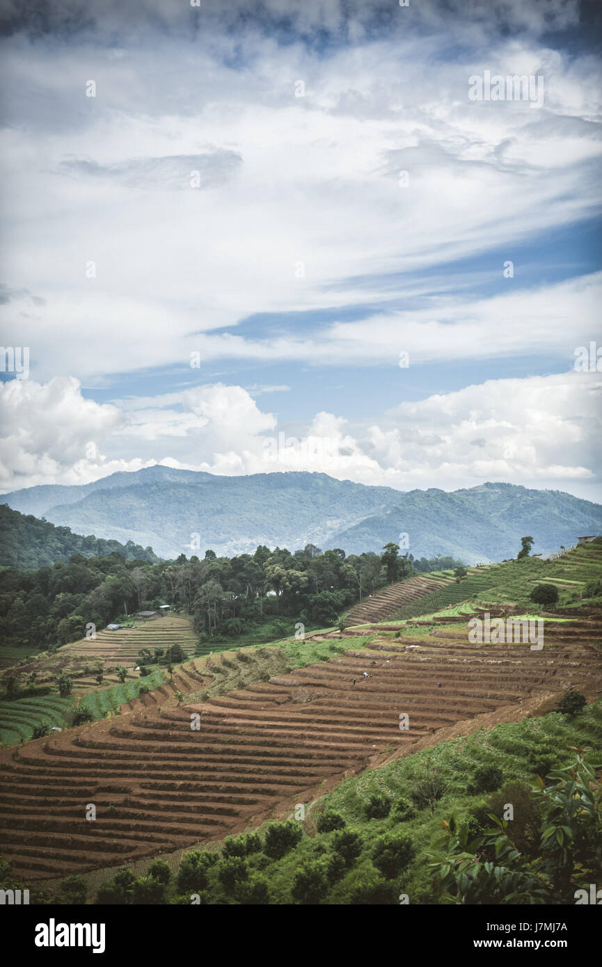 Beautiful natural in Mon Cham (Mon Jam) mountain, Mae Rim, famous ...