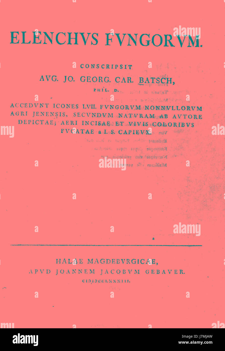 Fungorum hi-res stock photography and images - Alamy