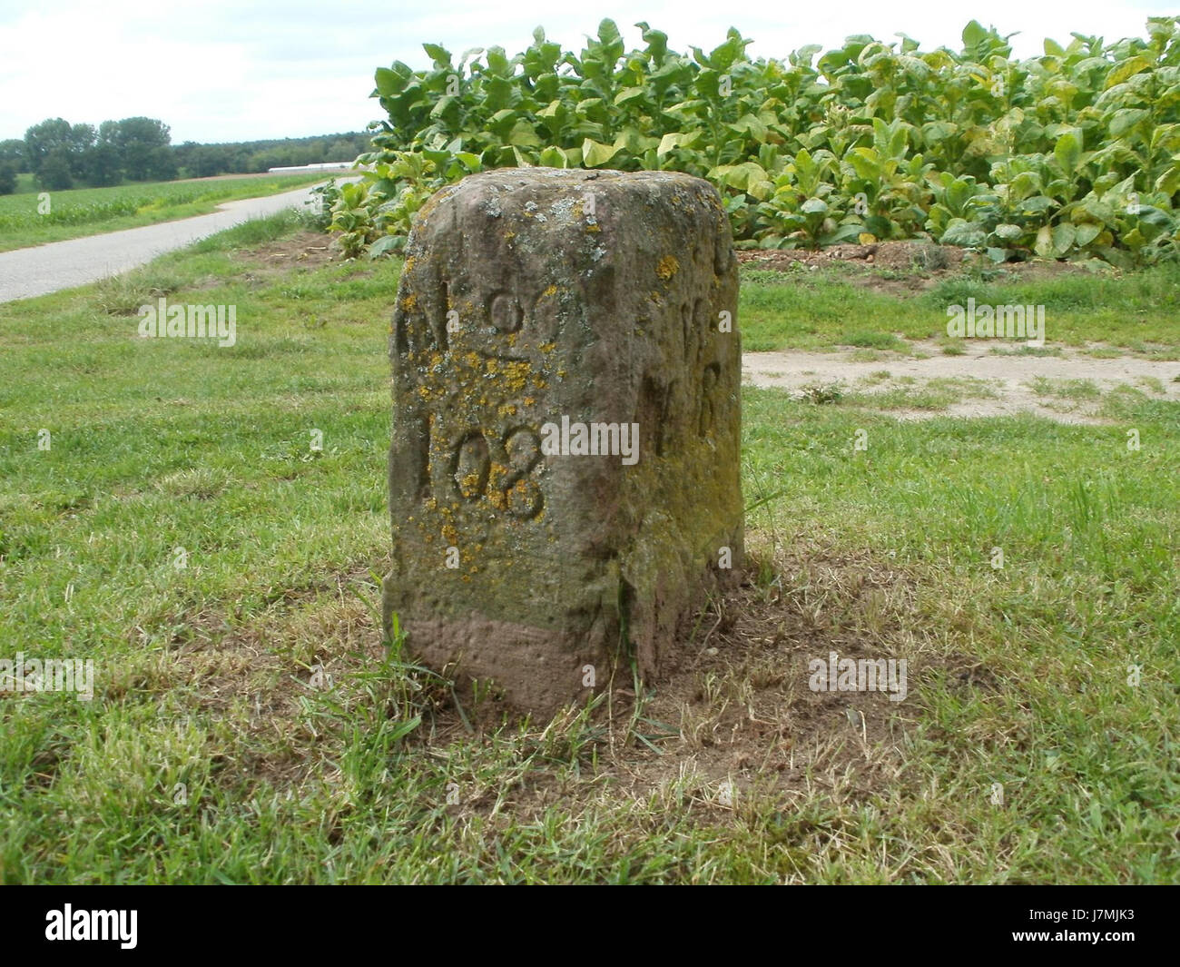 This photograph depicts the boundary markers (*Grenzsteine*) of Oftersheim, showcasing historic ...