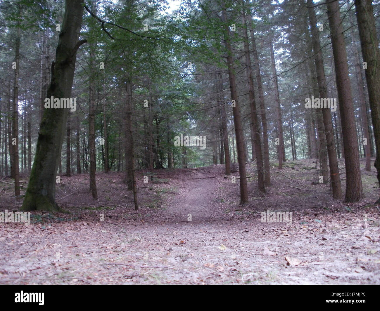 Location reference hi-res stock photography and images - Alamy