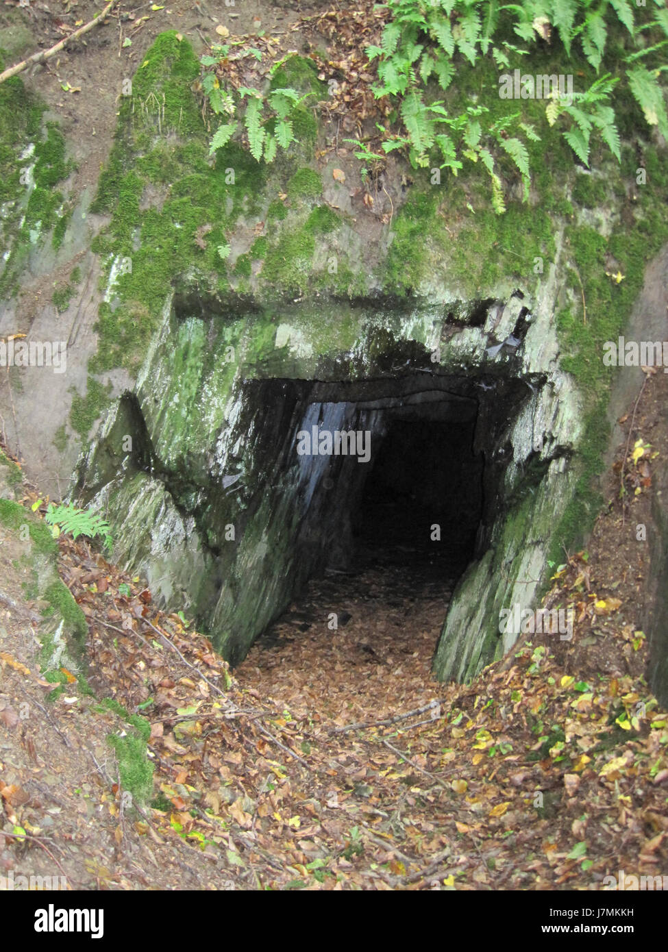 The Wispertalsteig Bergstollen is a trail in Germany, part of a natural ...