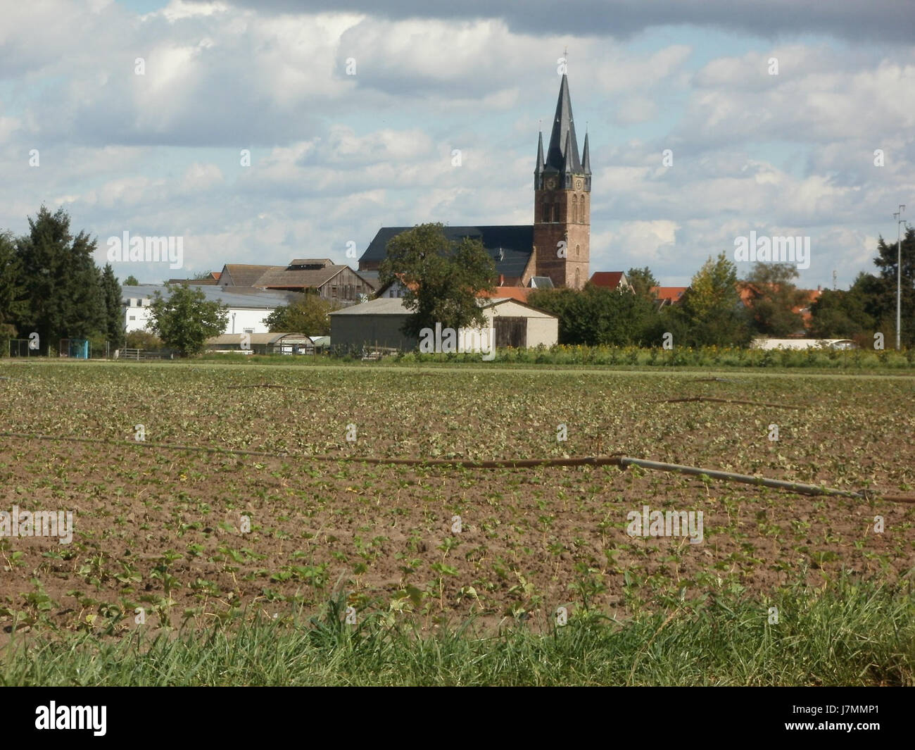 The Erdbeerfeld (strawberry field) in Reilingen, Germany, a popular ...