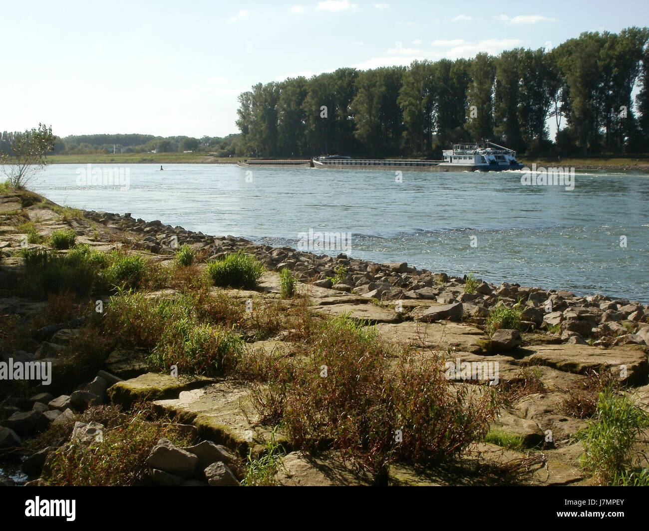 The image depicts the Rhine River at Speyer, a town in southwestern ...