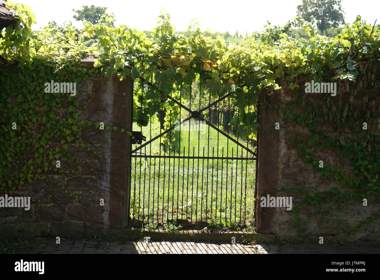 German wine gate hi-res stock photography and images - Alamy