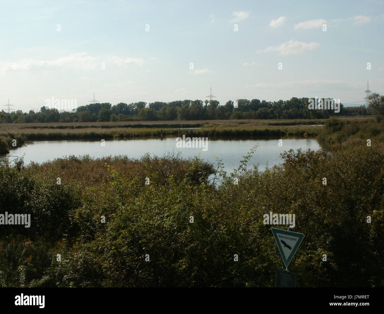 Wagbachniederung is a nature reserve located in Germany, known for its ...