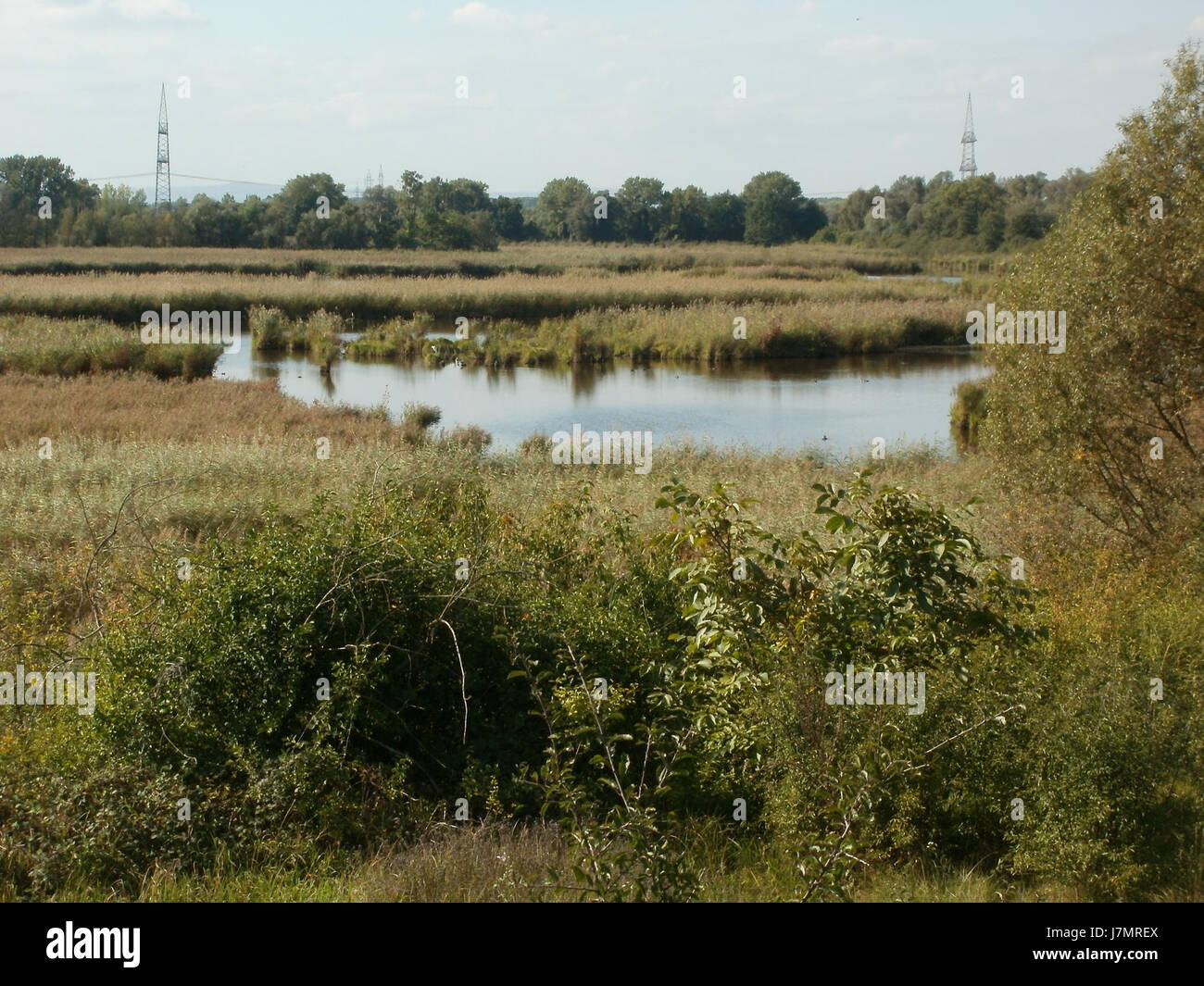 The Wagbachniederung is a region in Germany known for its wetland ...