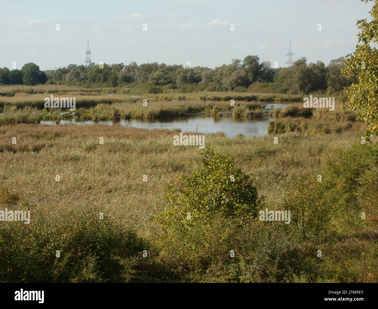Wagbachniederung is a region known for its ecological importance in ...