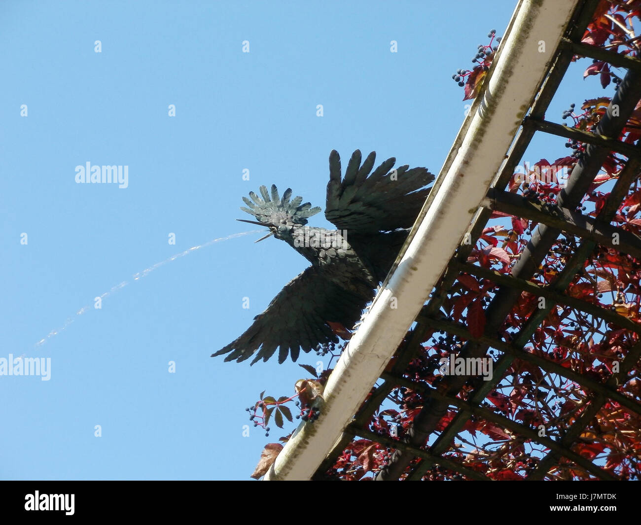 A photograph of water-spouting birds taken in Schwetzingen, Germany, on ...