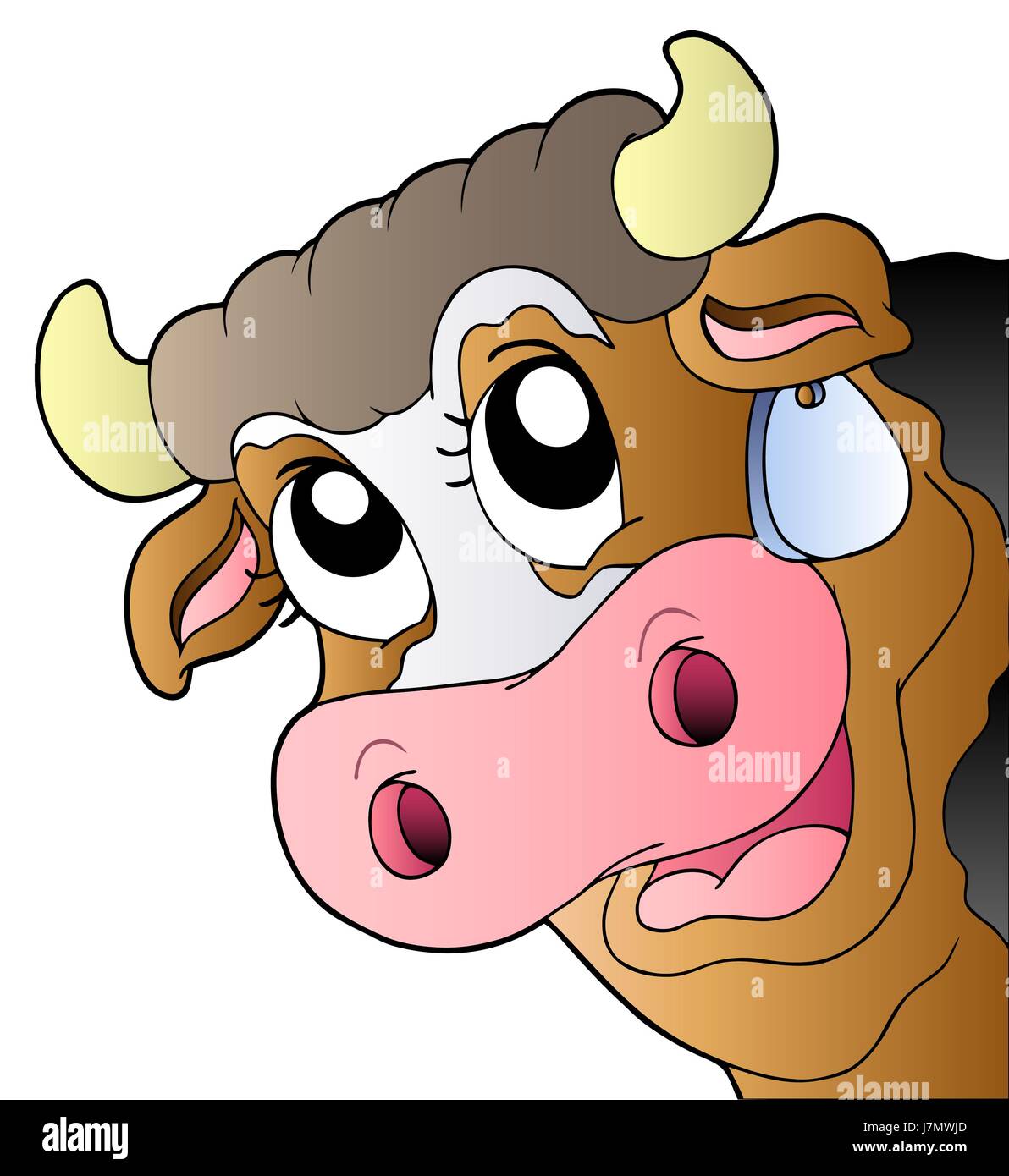 animal mammal cow farm cattle homey domestic nature close laugh laughs ...