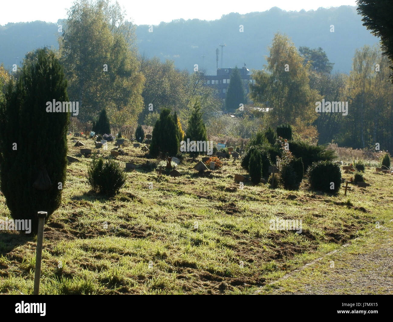 Respect for animals hi-res stock photography and images - Alamy