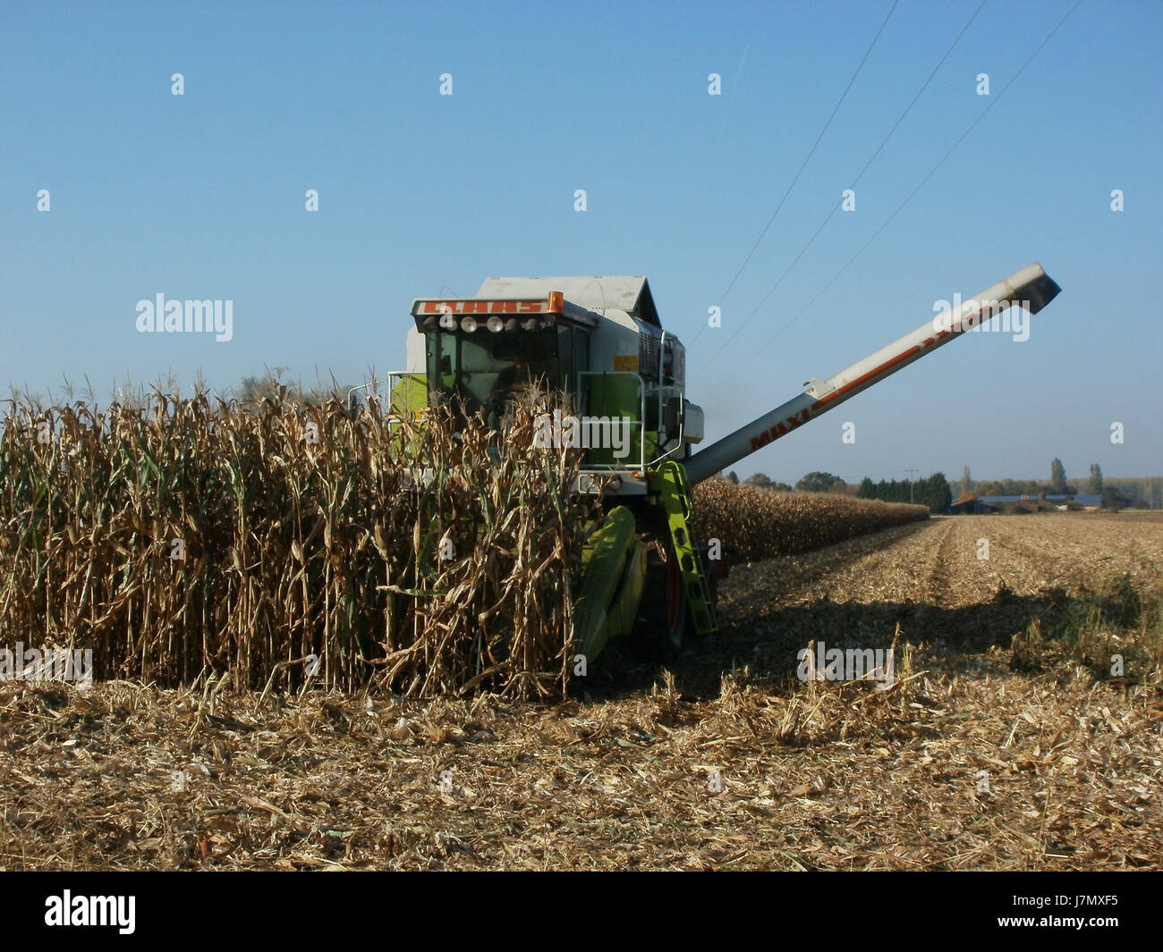 This photo captures the maize harvest in Hockenheim, Germany, on ...