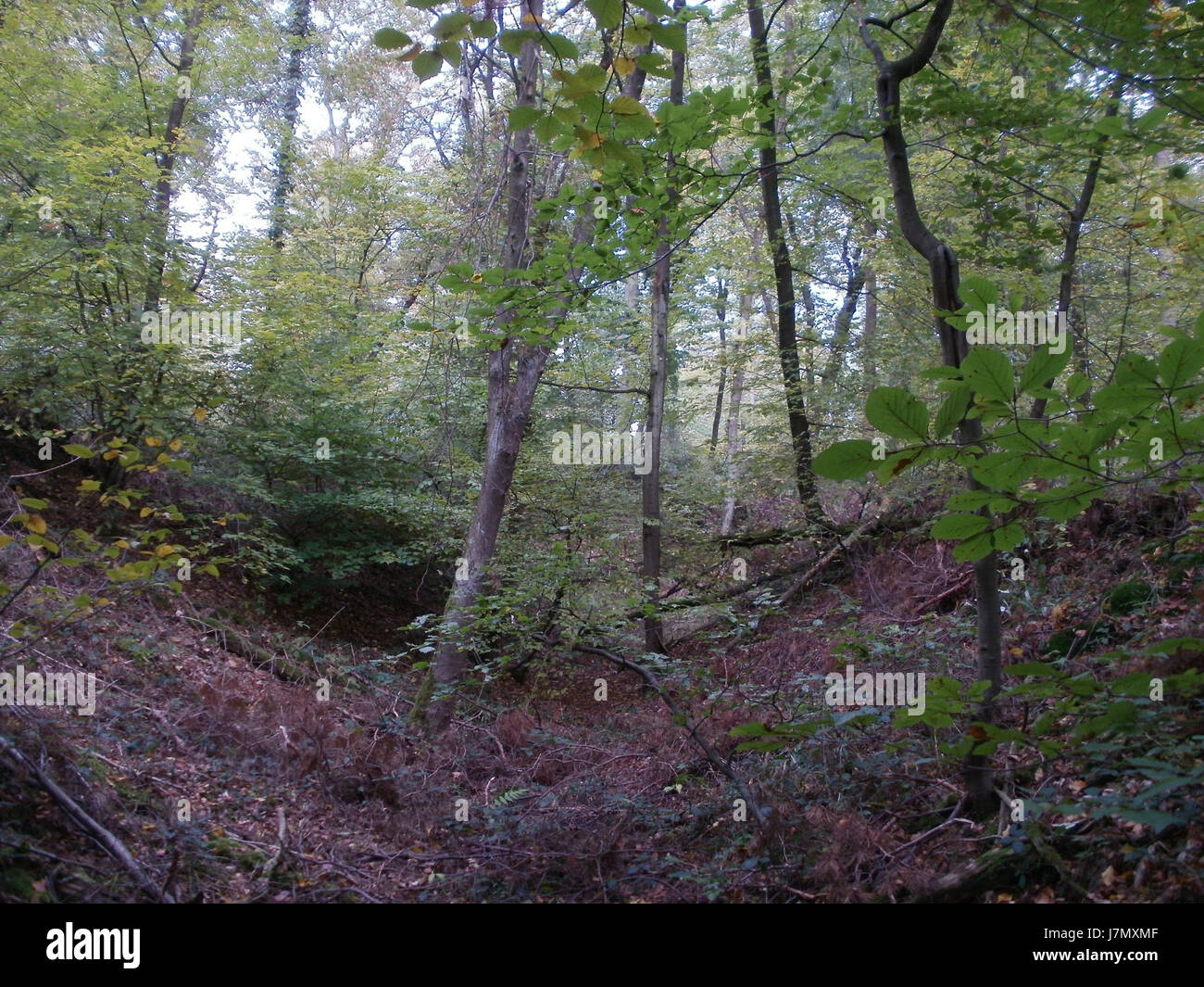 Schanzen Philippsburg refers to a historical fortification located in ...