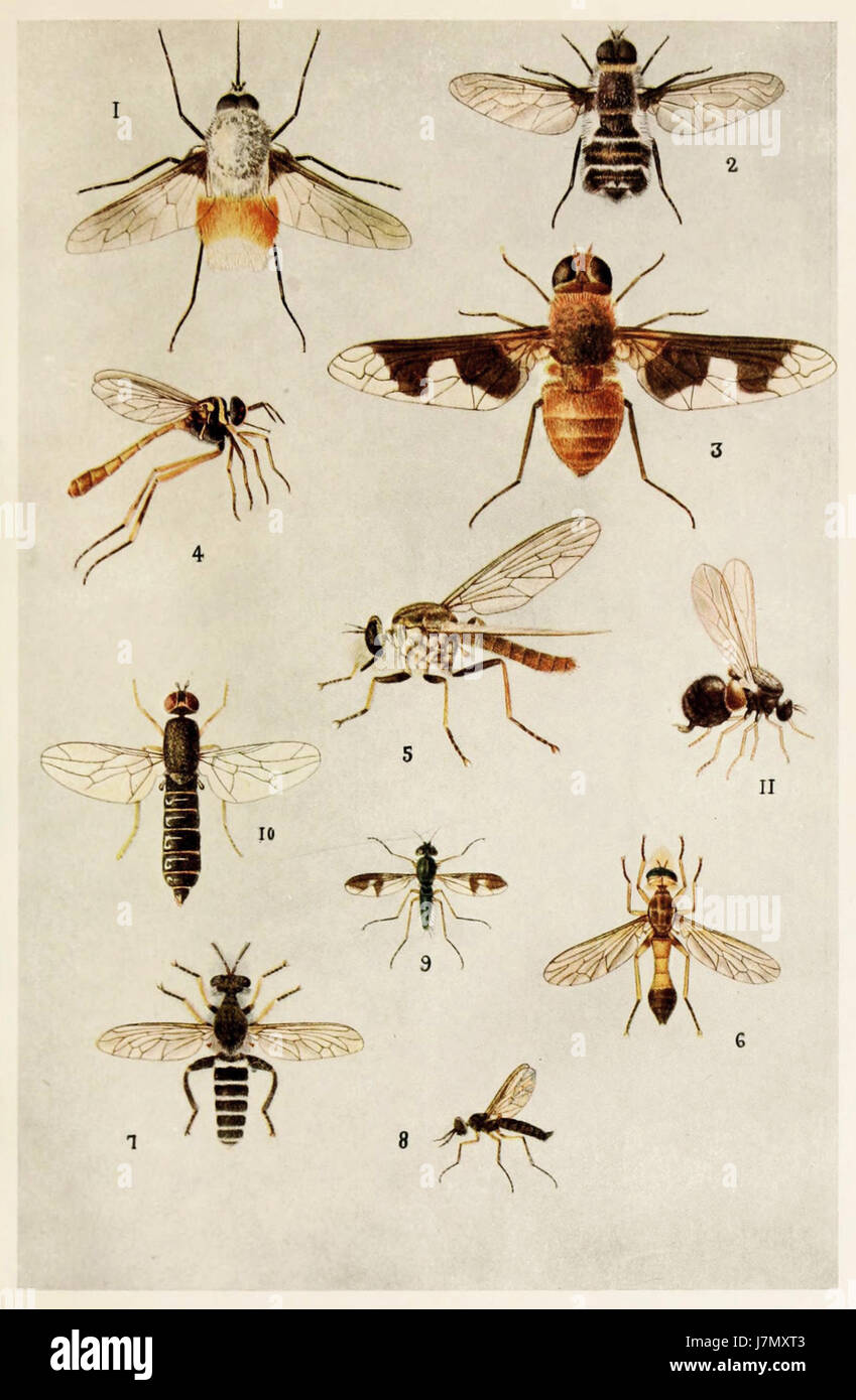 Pictorial map india hi-res stock photography and images - Alamy