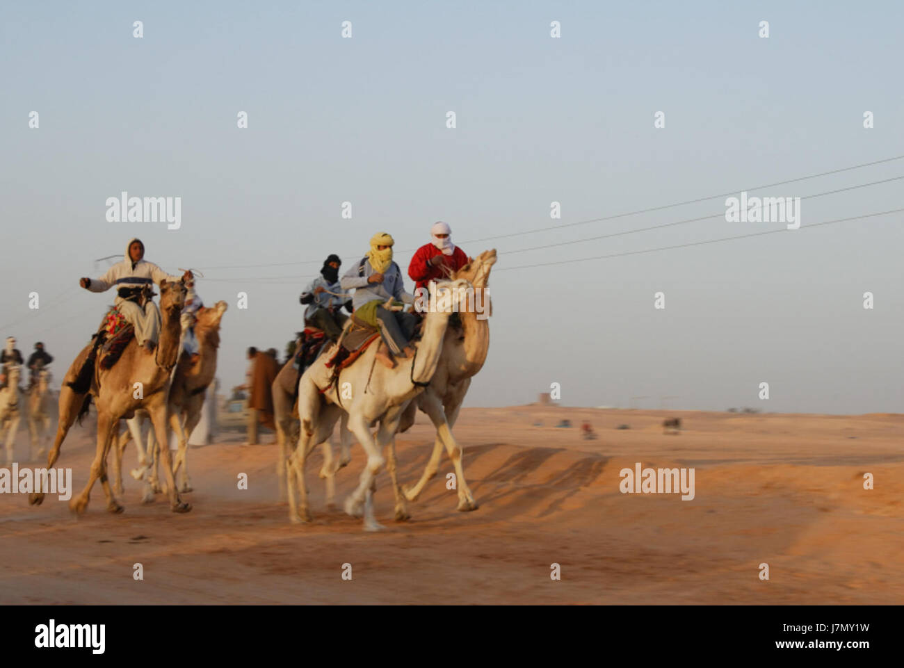 Camel racing festival in hi-res stock photography and images - Alamy