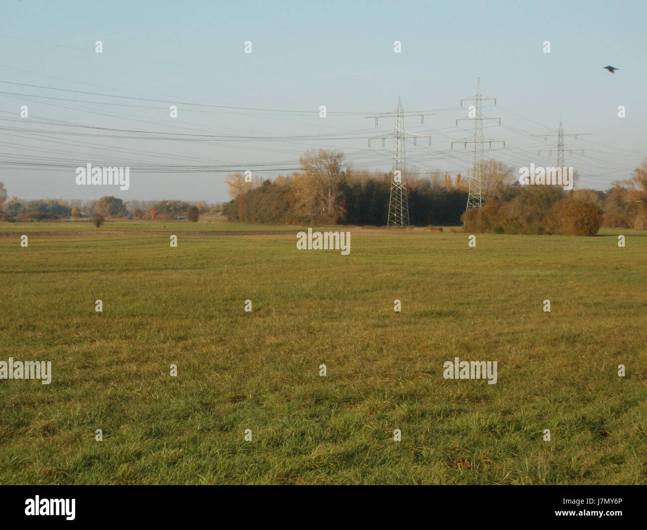 Ludwig field hi-res stock photography and images - Alamy