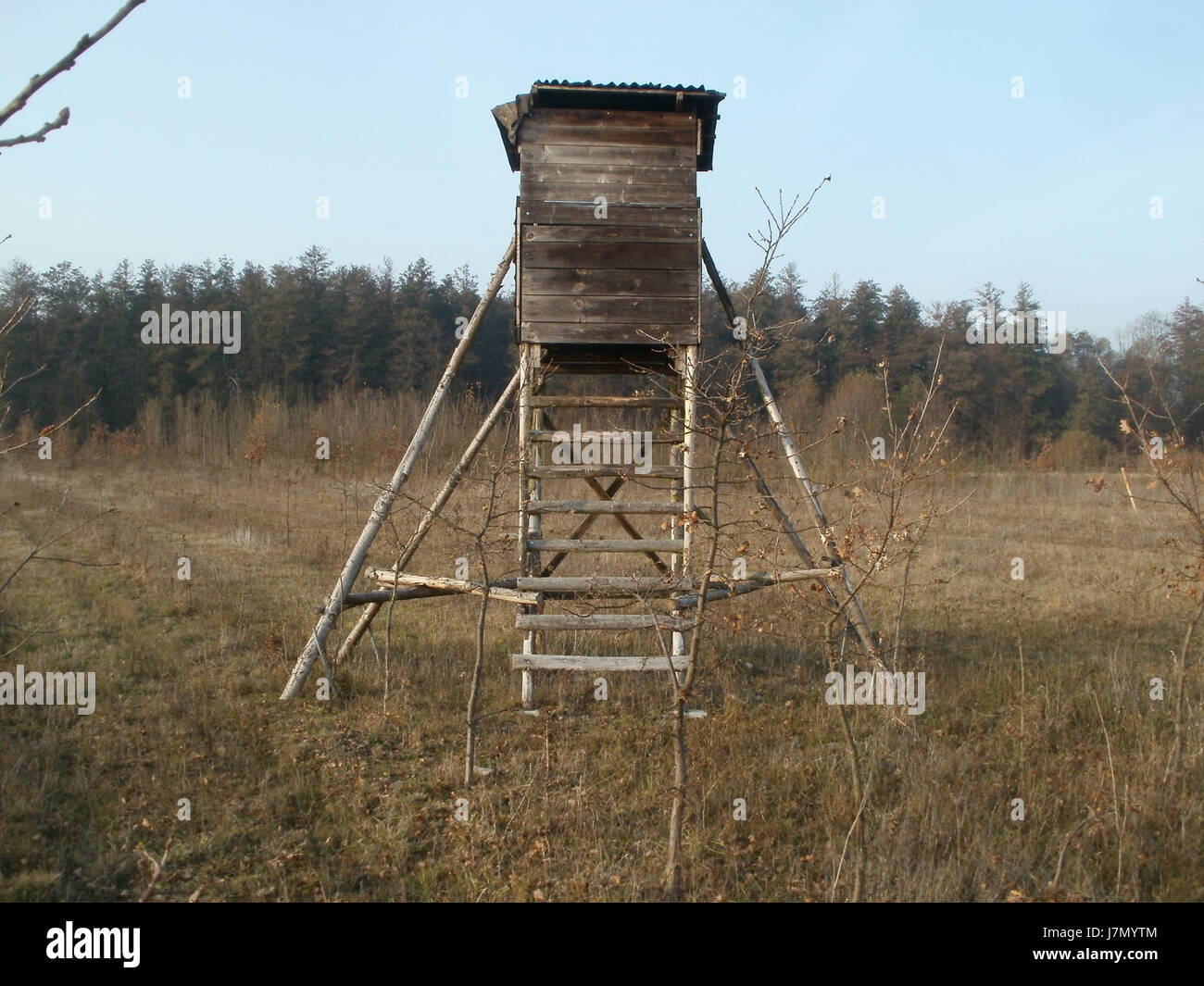 This image is from a hunting tower (Hochsitz) in Hockenheim, Germany ...