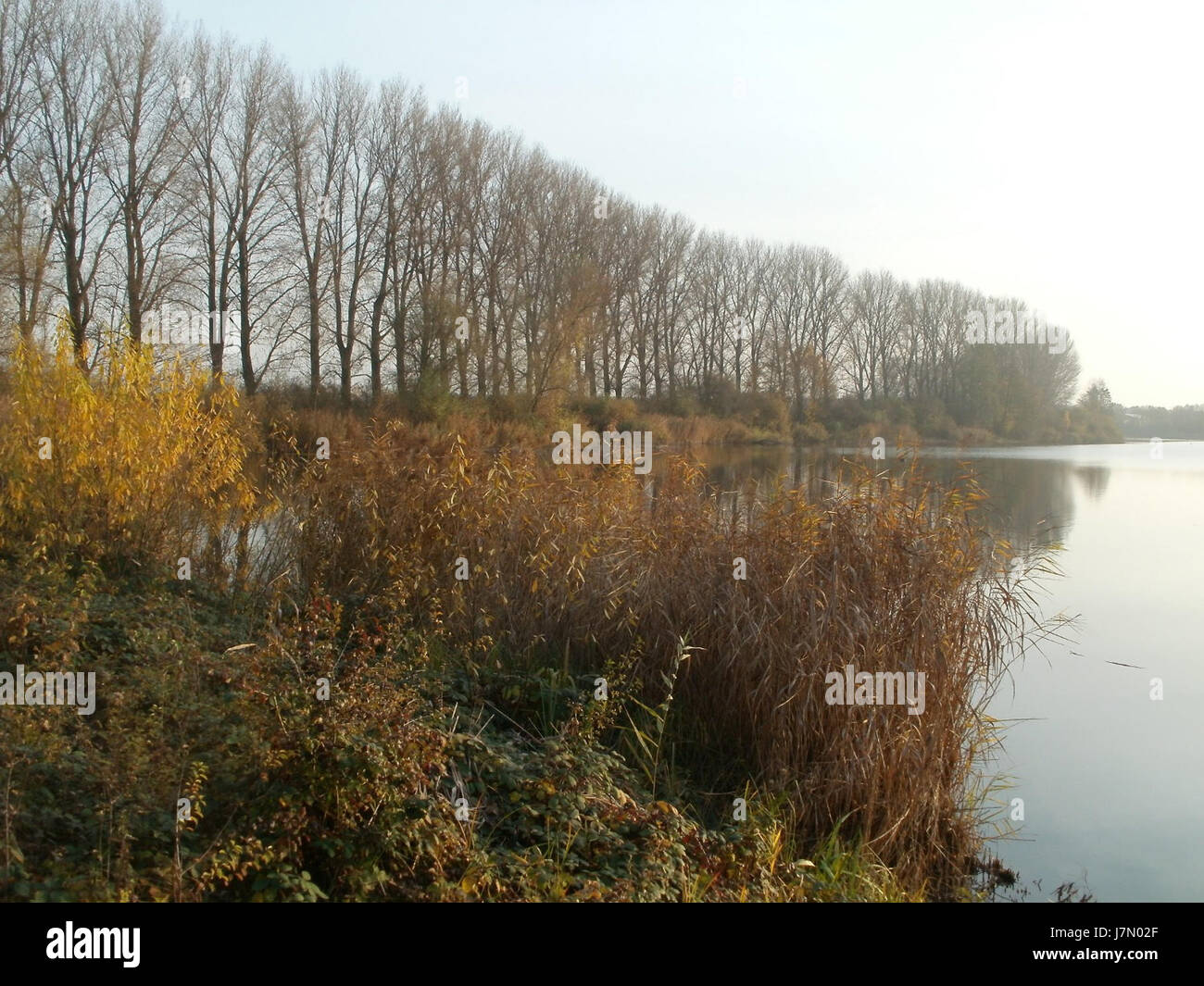 See2 hi-res stock photography and images - Alamy
