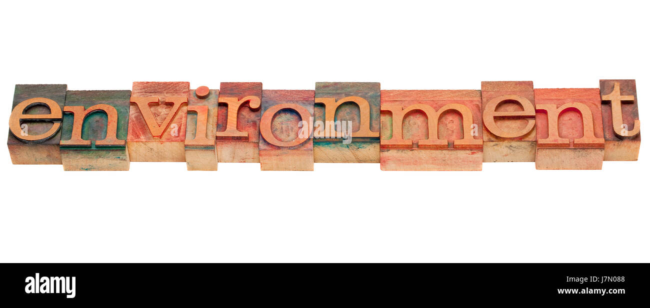 environment enviroment word letterpress ecology ecosystem type model ...