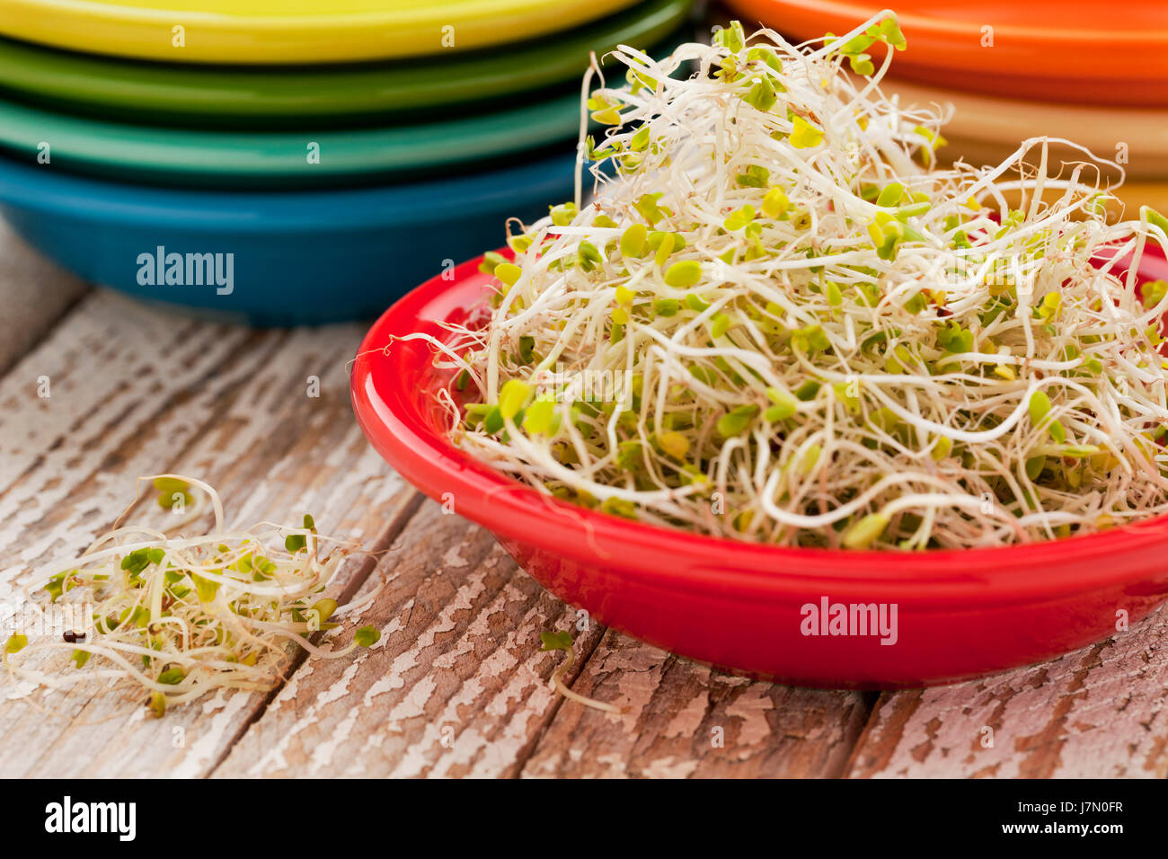 food aliment green vegetable clover broccoli sprout salad bowl food ...