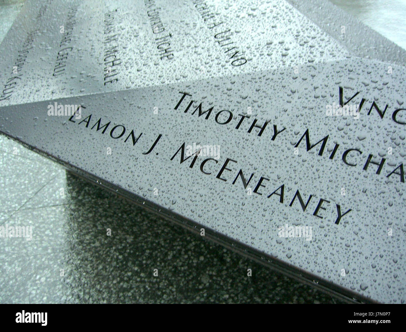 This image is a panel featuring Eamon McEneaney, captured by ...