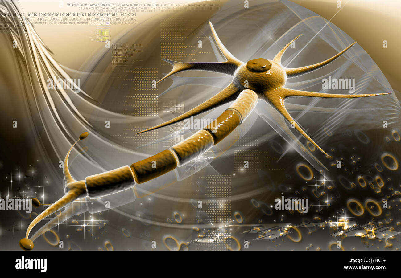 education graphics colour science brown brownish brunette illustration ...