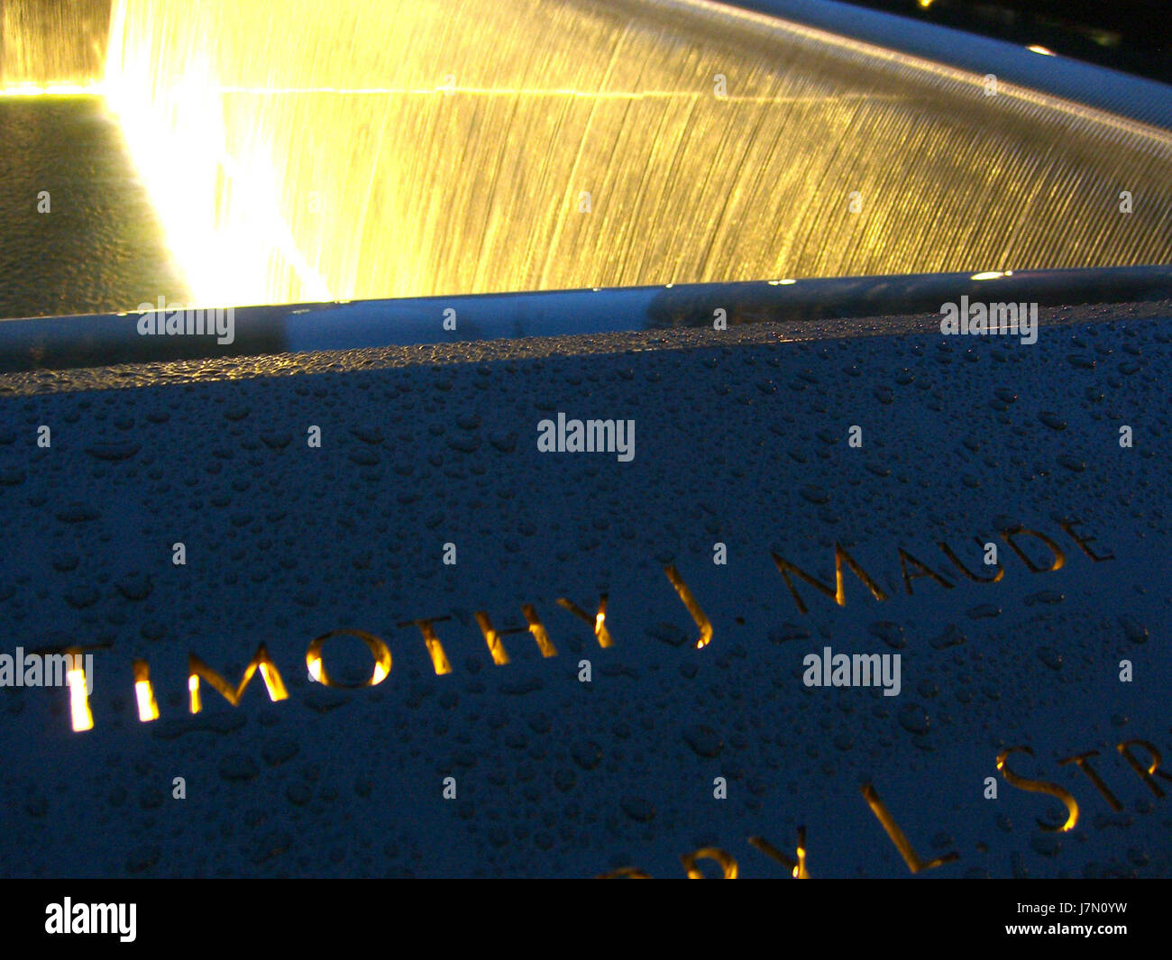 This image features a panel photograph of Timothy Maude, taken by Luigi ...