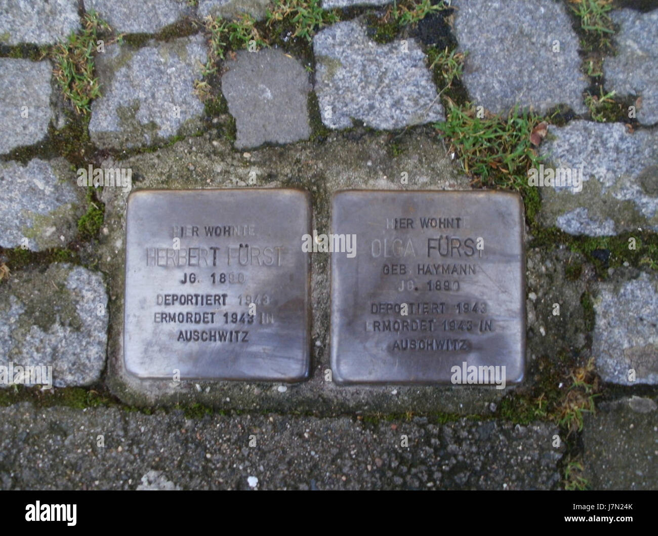 Stolpersteine project hi-res stock photography and images - Alamy