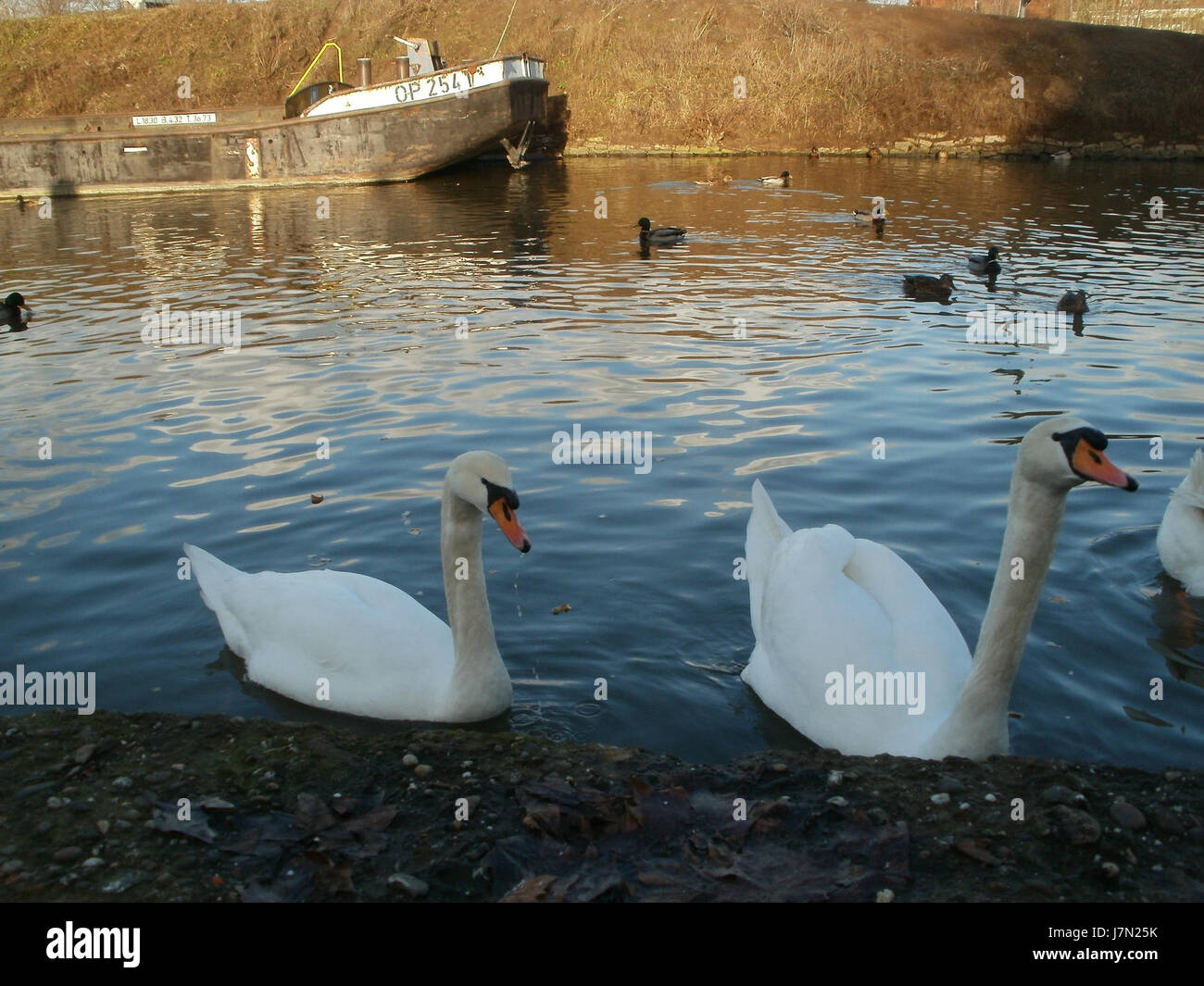 Sluicing system hi-res stock photography and images - Alamy