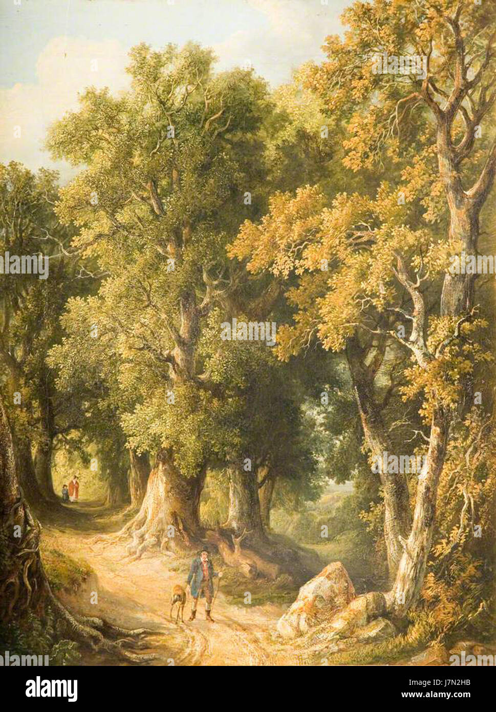 Glade map hi-res stock photography and images - Alamy