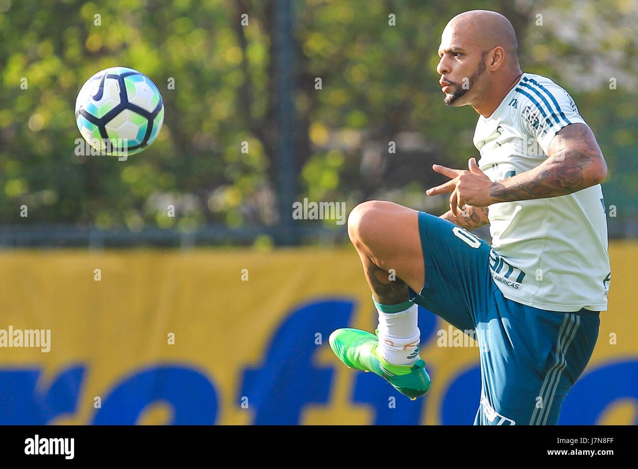 SÃO PAULO, SP - 25.05.2017: TREINO DO PALMEIRAS - Felipe Melo during ...